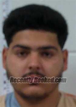 Recent Booking / Mugshot for MICHAEL TAIKSAN TANASE in Love County ...