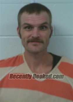 Recent Booking / Mugshot for JAMIE LYNN DAVIS in Love County, Oklahoma