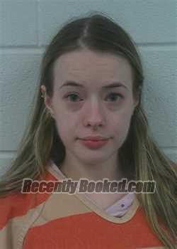 Recent Booking / Mugshot for SHEA ERIN BURTON in Love County, Oklahoma