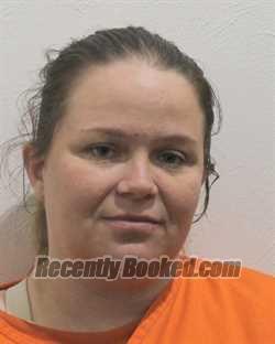 Recent Booking / Mugshot for SHEILA LENORA JONES in McClain County ...