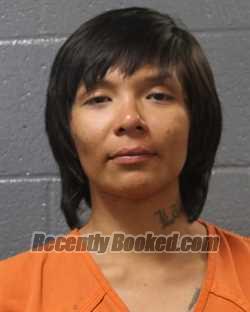 Recent Booking / Mugshot for ALICE RENEE POLLOCK in Oklahoma County ...