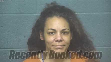 Recent Booking / Mugshot for BRANDY MICHELLE MULKEY in Oklahoma County ...