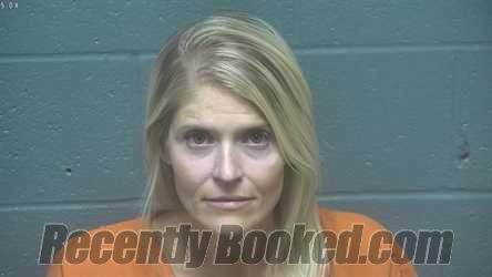 MICHELLE LYNN TIDWELL Arrest Record & Booking Info – Oklahoma County ...