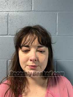 Recent Booking / Mugshot for MICHELE LYNN BOUCHIE in Rogers County ...