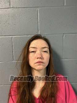 Recent Booking / Mugshot for CHEYENNE ELIZABETH JOHNSON in Rogers ...