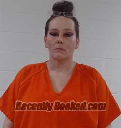 Recent Booking / Mugshot for HEATHER NICHOLE HARBISON in Seminole ...