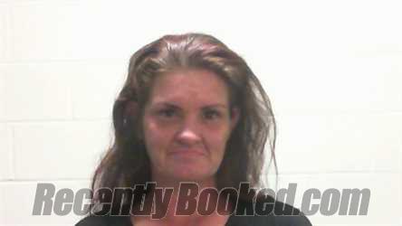 Recent Booking / Mugshot for MISHA RENEE ROMERO in Seminole County ...