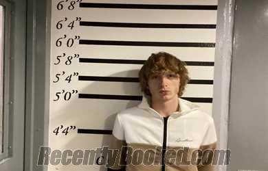 Recent Booking / Mugshot for BILLY WESLEY POIRIER in Sequoyah County ...