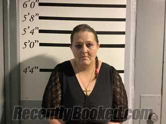 Recent Booking / Mugshot for CRYSTAL SHIRLENE MIZE in Sequoyah County ...