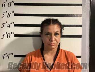 Recent Booking / Mugshot for CHRISTINA HULL in Sequoyah County, Oklahoma