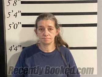 Recent Booking / Mugshot for AMANDA HALSTED in Sequoyah County, Oklahoma