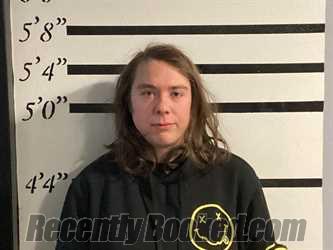 Recent Booking / Mugshot for DANIEL JAMES EARLEY in Sequoyah County ...