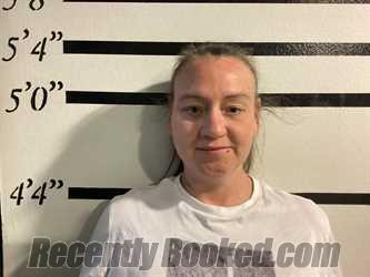 Recent Booking / Mugshot for JAMIE DASHAY LOUTHAN in Sequoyah County ...