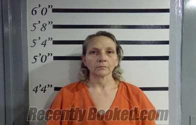 Recent Booking / Mugshot for CHALON REBECCA JOHNSON in Sequoyah County ...