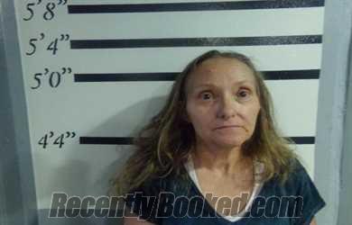 Recent Booking / Mugshot for CAROL LYNN MIRE-DUGAN in Sequoyah County ...