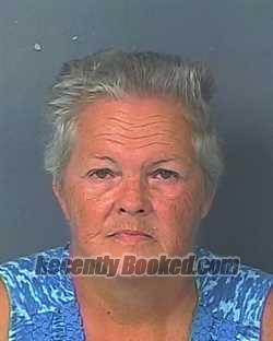 Recent Booking / Mugshot for LISA ANN RISCH in Hernando County, Florida