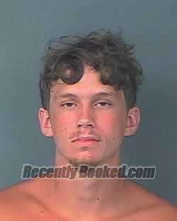 Recent Booking / Mugshot for STEVEN WILLIAM REED in Hernando County ...