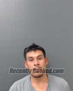 Recent Booking / Mugshot for JOSE JAIRO MILLAN-PEDROZA in Comal County ...