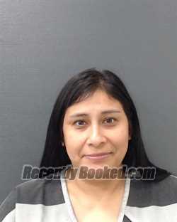 Recent Booking / Mugshot for BEATRICE LIMON GONZALES in Comal County, Texas