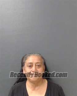 Recent Booking / Mugshot for DIANA HERRERA in Comal County, Texas