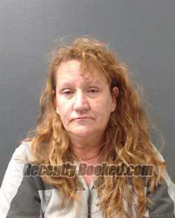 Recent Booking / Mugshot for PATRICIA LEE HORVATH in Comal County, Texas