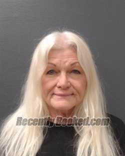 Recent Booking / Mugshot for MELINDA LUCILLE FRIESENHAHN in Comal ...