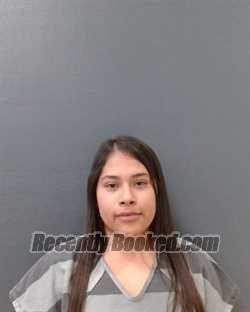 Recent Booking / Mugshot for ALEXA ALFARO in Comal County, Texas