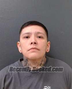 Recent Booking / Mugshot for BIANCA MARIE LERMA in Comal County, Texas