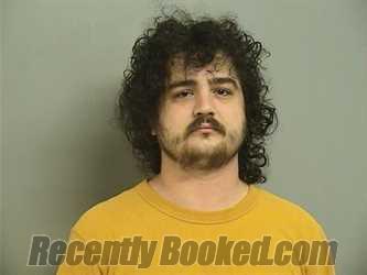 Recent Booking / Mugshot for PHOENIX ALEXANDER SWENSON in Tulsa County ...