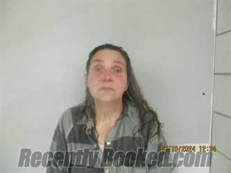 Recent Booking / Mugshot for MELISSA JUNIOR-BIRK in Wagoner County ...