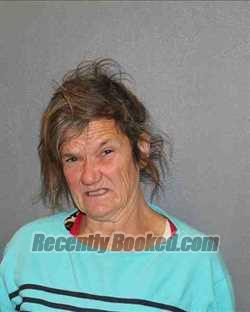 Recent Booking / Mugshot for HOLLY JANETTE ROBERSON in Cooke County, Texas