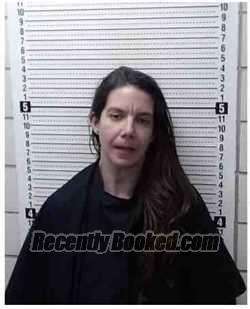 Recent Booking / Mugshot for ROBYN JANE TOMLIN in Cooke County, Texas