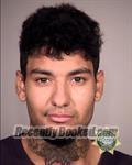 Recent Booking / Mugshot for Brandon Jeffrey Hill in Multnomah County ...