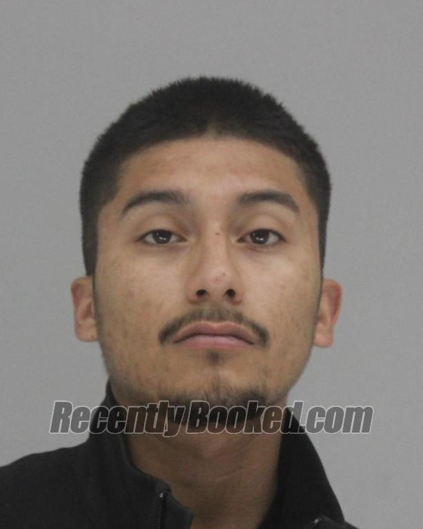 Addison Salazar Arrest & Booking Info | Dallas County, TX