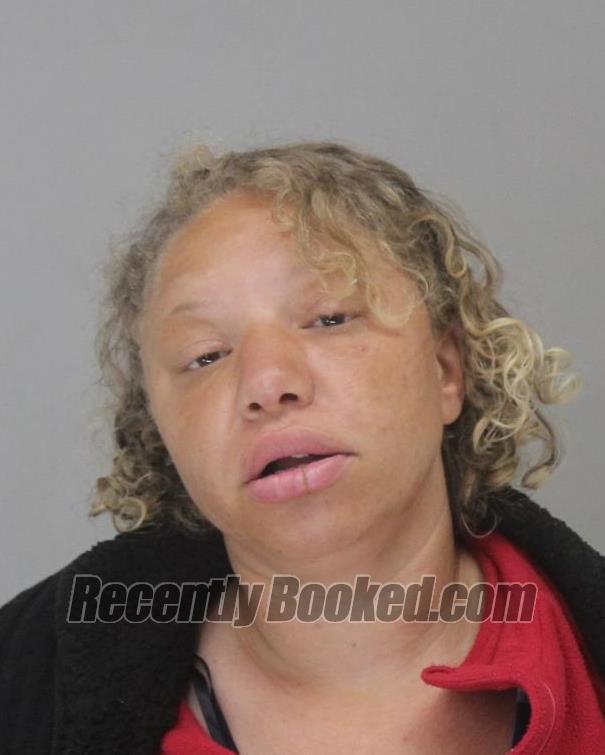 Recent Booking / Mugshot for NATASHA REESE in Dallas County, Texas
