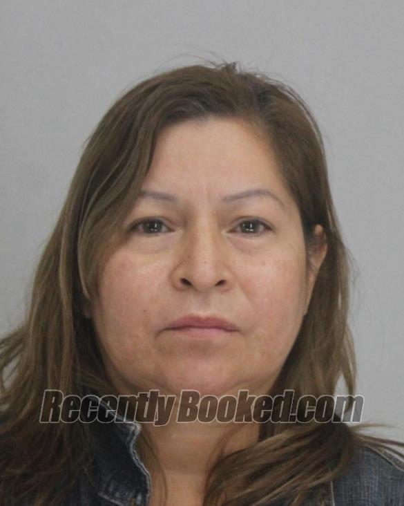 Recent Booking / Mugshot for MARIA CASTREJON in Dallas County, Texas