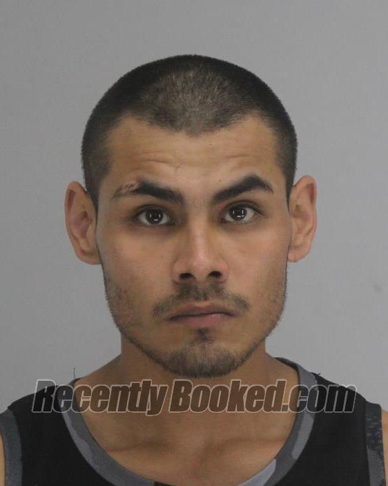 Recent Booking / Mugshot for DOMINIQUE CASTILLO in Dallas County, Texas