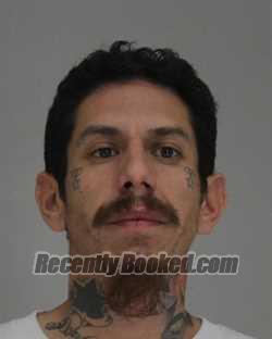 Recent Booking / Mugshot for MARCO SALAS in Dallas County, Texas