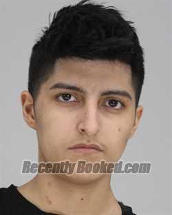 Recent Booking / Mugshot for NATALIE BAHENA in Dallas County, Texas