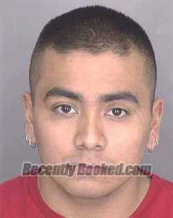 Recent Booking / Mugshot for ALBERT AYALA in Dallas County, Texas