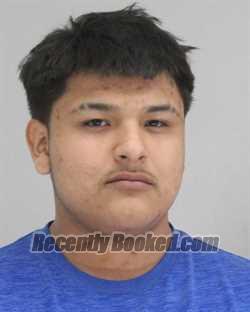Recent Booking / Mugshot for ANGEL SALINAS in Dallas County, Texas