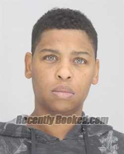 Recent Booking / Mugshot for ERICA WILLIAMS in Dallas County, Texas