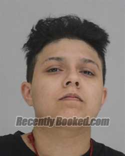 Recent Booking / Mugshot for ELYSSA CASTILLO in Dallas County, Texas