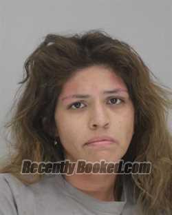 Recent Booking / Mugshot for AMY REYNA in Dallas County, Texas