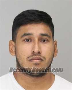 Recent Booking / Mugshot for HESSLER RUIZ in Dallas County, Texas
