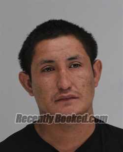 Recent Booking / Mugshot for DANIEL OCHOA in Dallas County, Texas