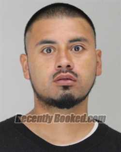 Recent Booking / Mugshot for DANIEL GALLARDO in Dallas County, Texas
