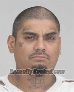 Recent Booking / Mugshot for NICK FALCON in Dallas County, Texas