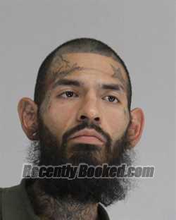Recent Booking / Mugshot for ANGEL NAVA in Dallas County, Texas