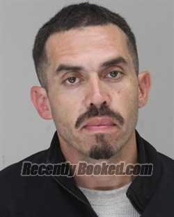 Recent Booking / Mugshot for DANIEL PECINA in Dallas County, Texas